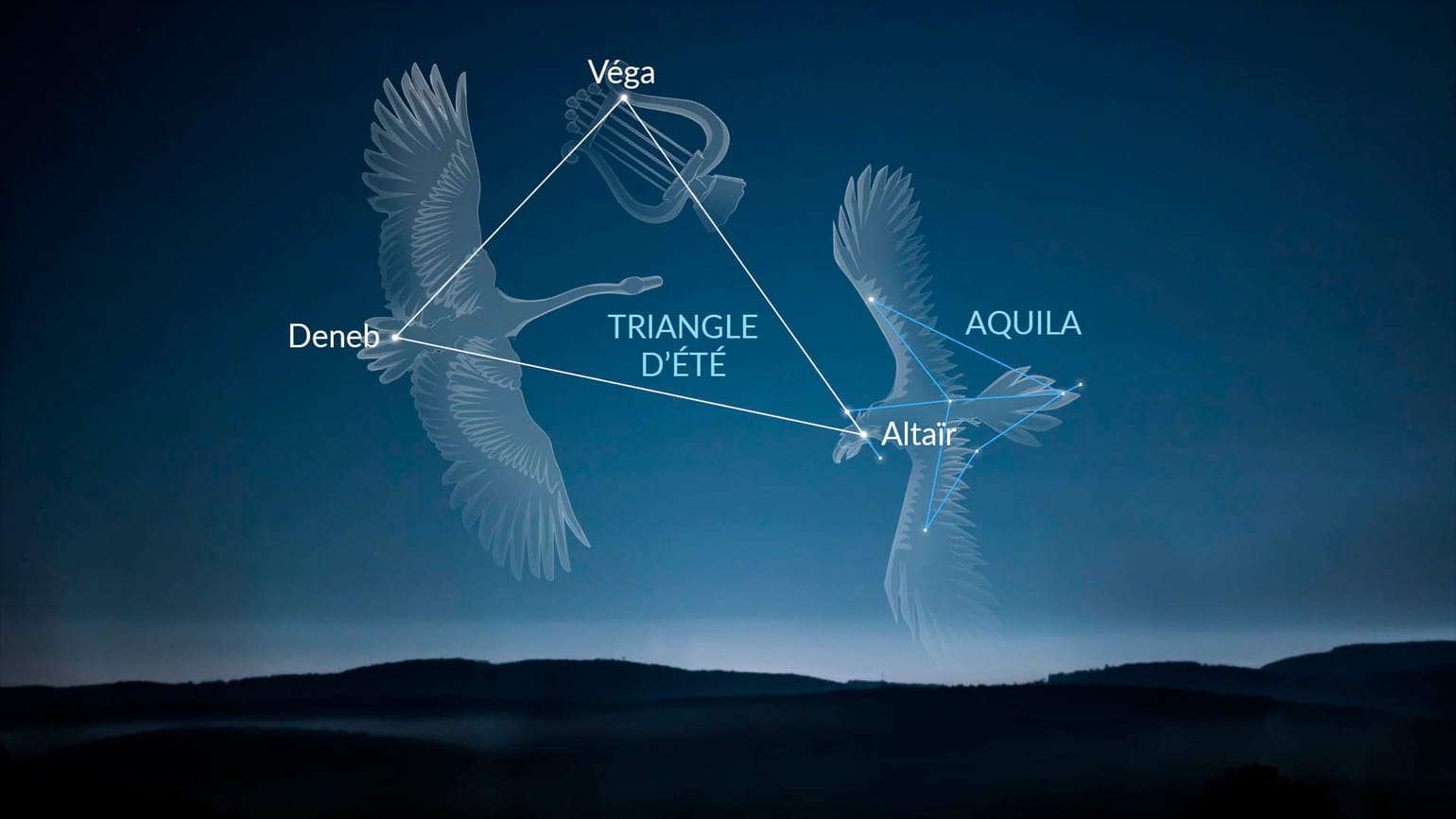 Faits sur la constellation d'Aquila | Aquila L'Aigle | Étoiles d'Aquila ...