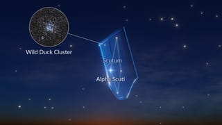 August Constellations | Constellation Finder | August Night Sky | Best ...