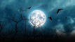 When is the Full Moon in August 2021 | What is a Blue Moon