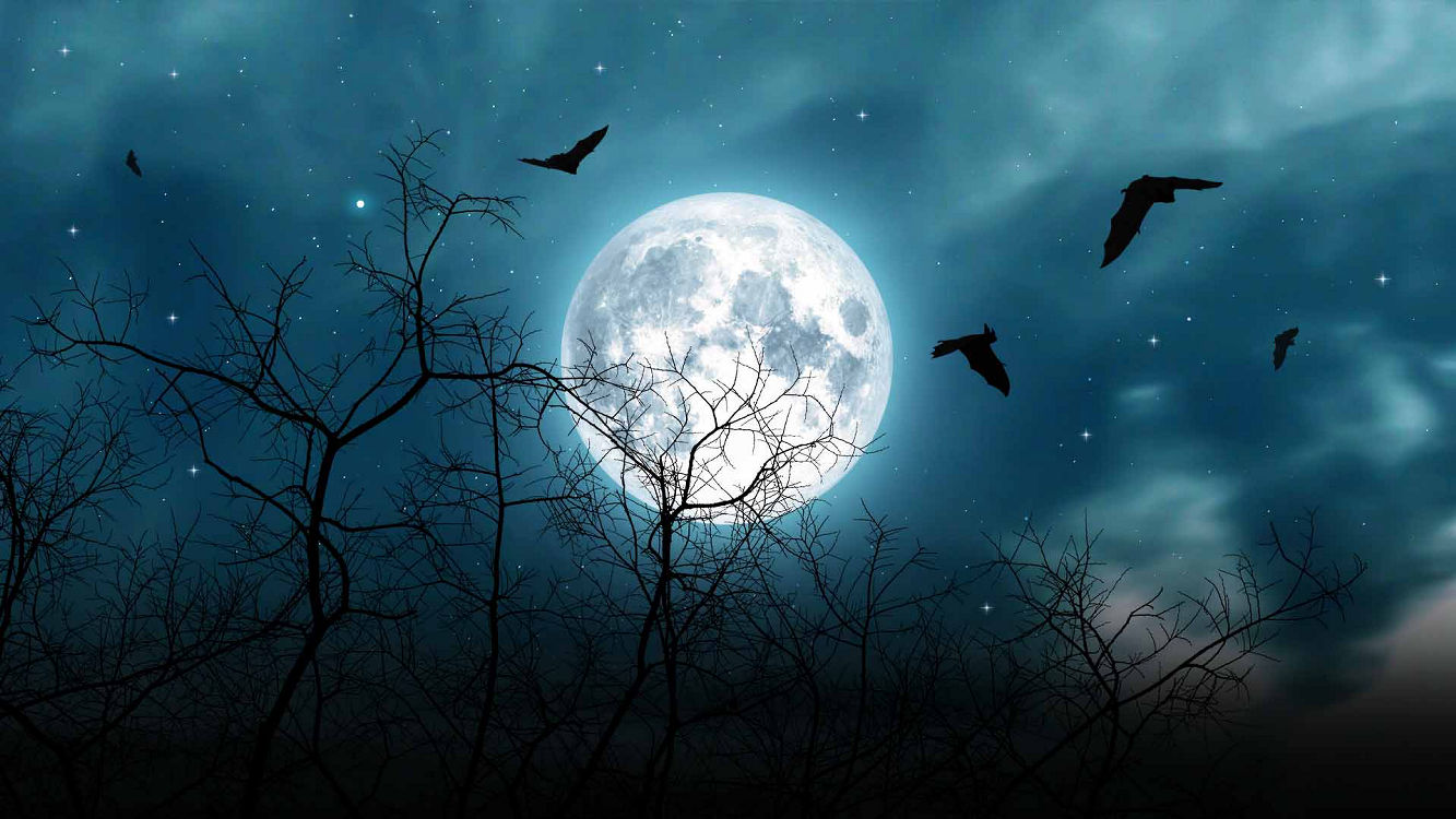 When is the Full Moon in August 2021 | What is a Blue Moon