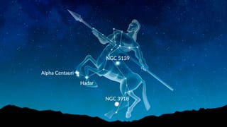 Horse Constellation | Constellation With the Body of a Horse ...