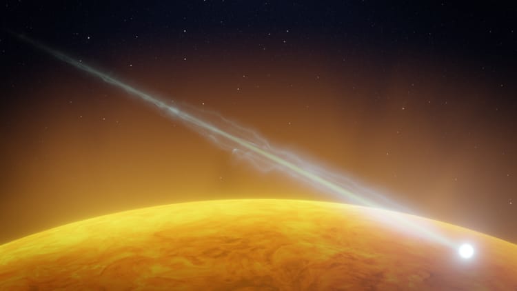 Regulus Star — Meaning, Constellation, Luminosity | Little King Star ...