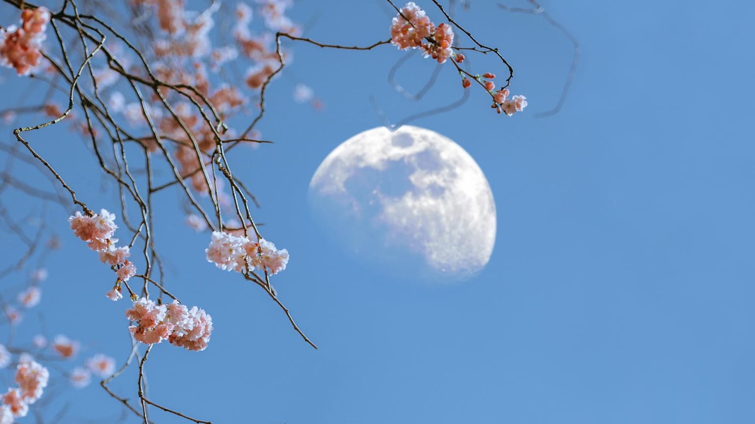 Daytime Sky | Daytime Moon | Can You See the Moon During the Day | Star ...