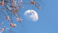 Daytime Sky | Daytime Moon | Can You See the Moon During the Day | Star ...