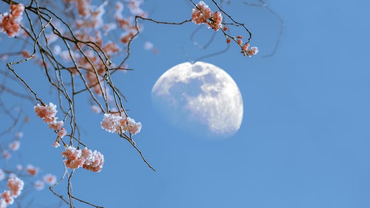 Daytime Sky | Daytime Moon | Can You See the Moon During the Day | Star ...
