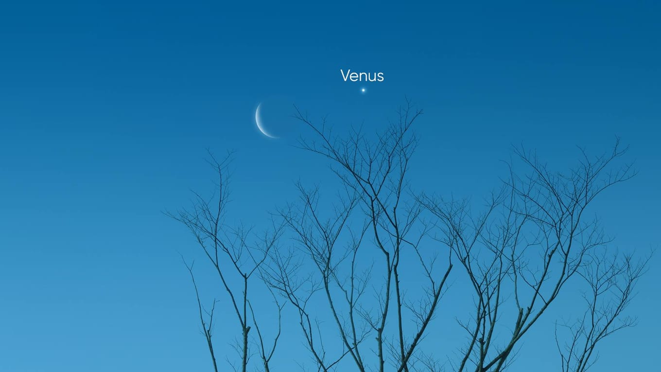 Daytime Sky | Daytime Moon | Can You See the Moon During the Day | Star ...