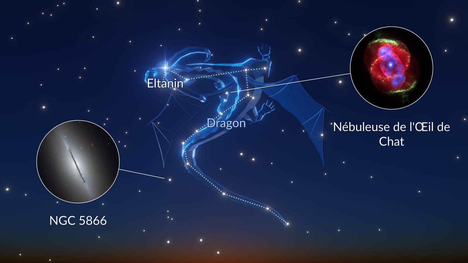 Constellations de Juillet — Guide du Ciel Étoilé | Étoiles en Juillet ...