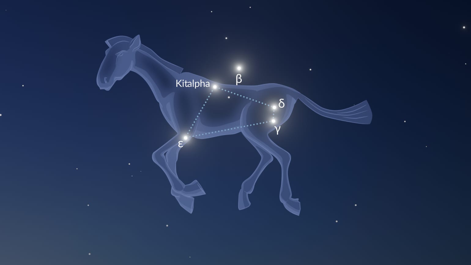 Costellazione di Equuleus | Costellazione del Cavallino | Il Puledro ...