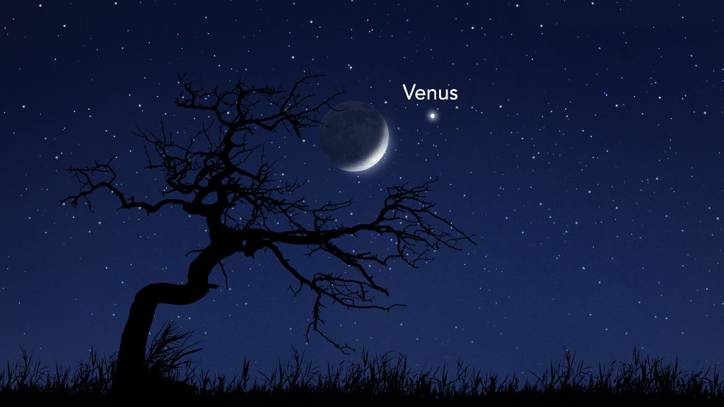 The Moon and Venus Grace the Sky: When and How to See the Brightest ...