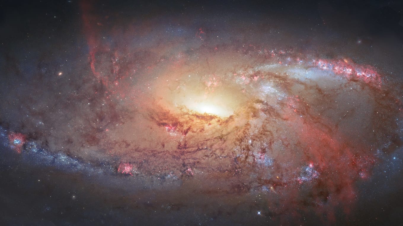 February Astrophotography Targets | Сool Things in Space Visible ...