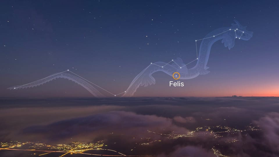 Chats Célestes, Constellations & Galaxies | Chats Cosmiques | Nébuleuse ...