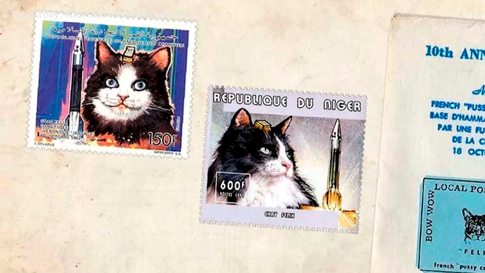 Cat in Space | What Happened to Felicette Cat | Cat Sent to Space