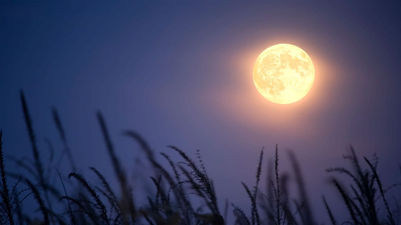 Full Buck Moon 2021 | Buck Moon Meaning | July Fullmoon Name