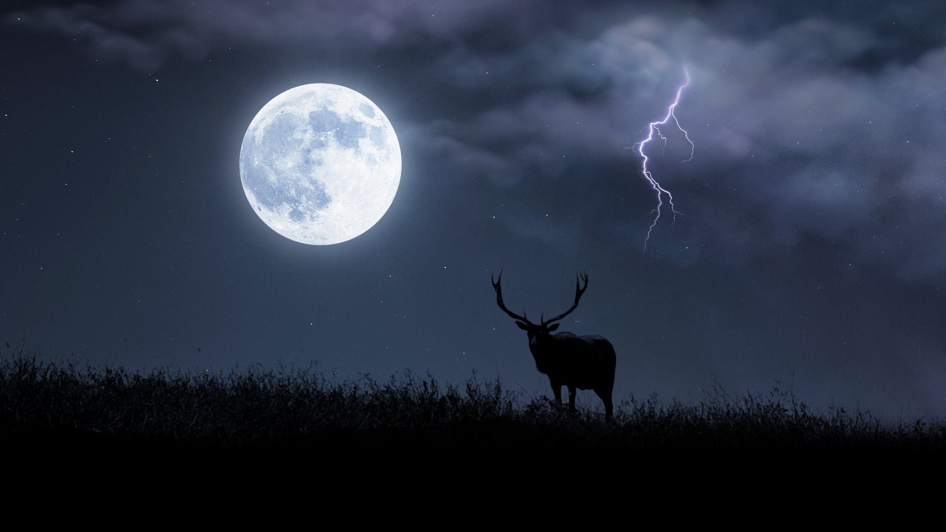 Super Moon July 12 2024 Super Moon July 12 2024