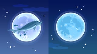 Supermoon 2023 | When Is The Next Supermoon 2023 | Super Moon Tonight ...