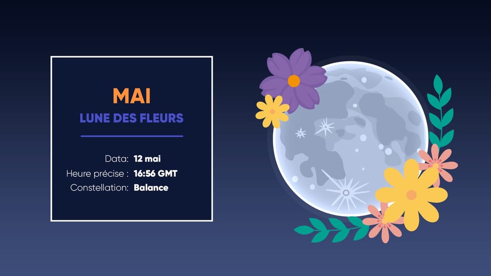 Calendrier des Pleines Lunes 2025 | Programme des Pleines Lunes 2025 ...