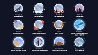 Blue Moon 2024 Date | Blue Moon Schedule | Next Blue Moon 2024 | Star Walk