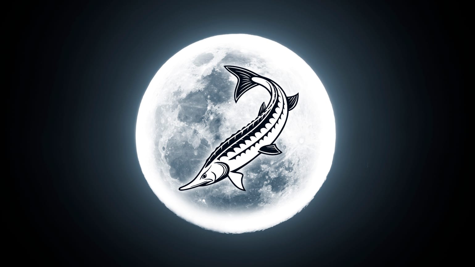 When Is August Full Moon | Full Sturgeon Moon 2026 | Moon Phases August ...