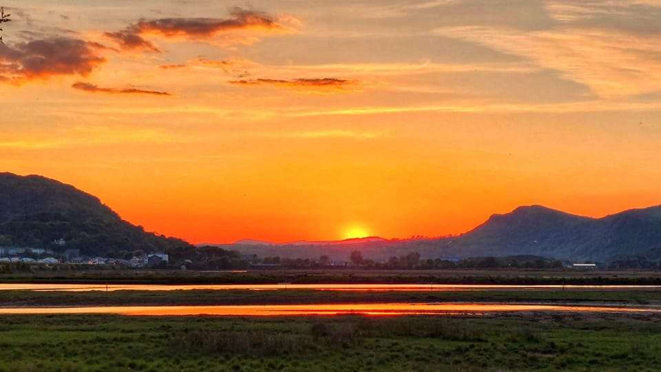 Twilight vs. Dusk/Dawn | When Is Twilight | What Is Dusk | Twilight ...