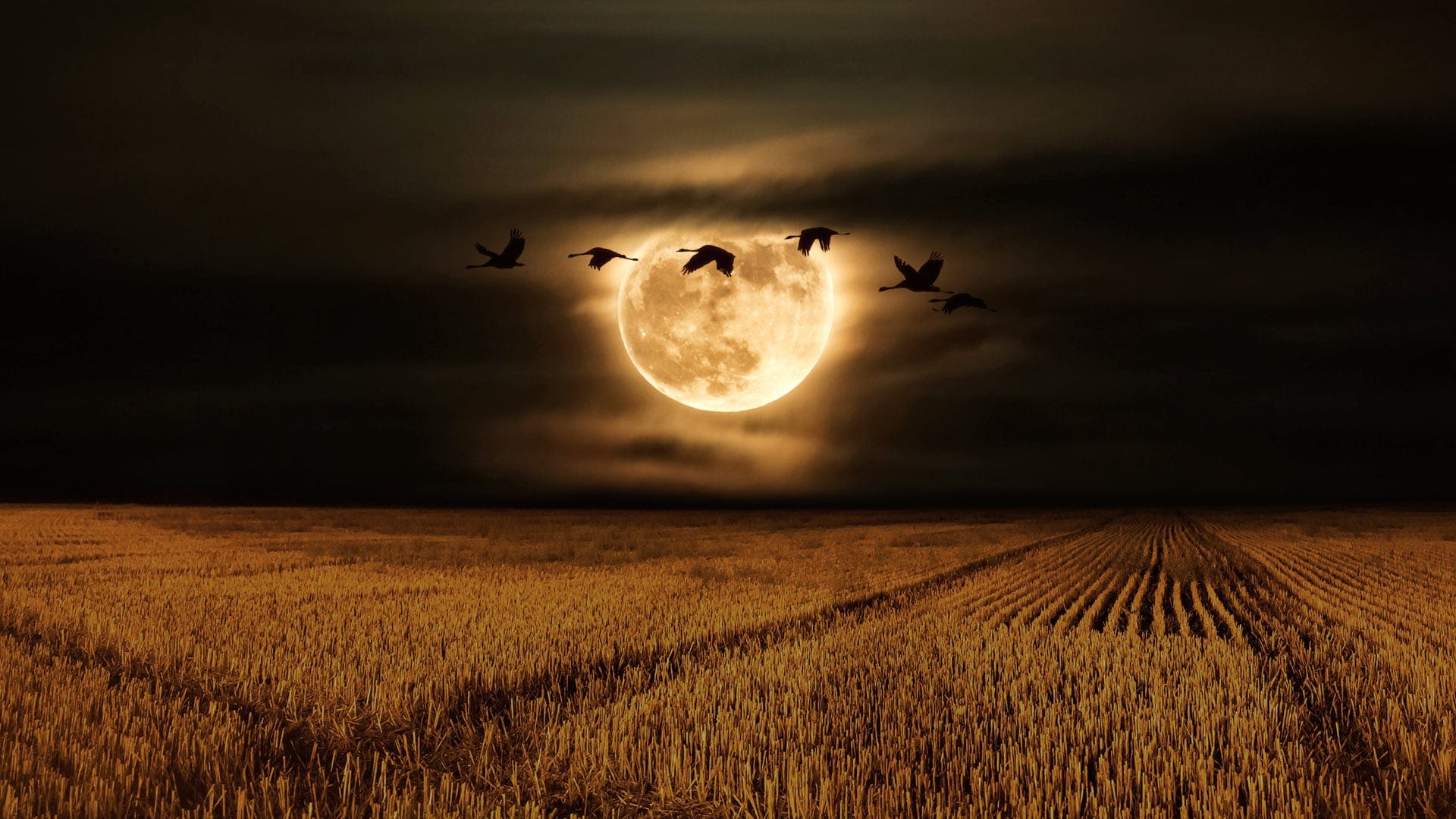 October Full Moon 2025 October Full Moon 2025