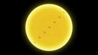 What Type of Star Is Our Sun | When Will The Sun Explode | Star Walk