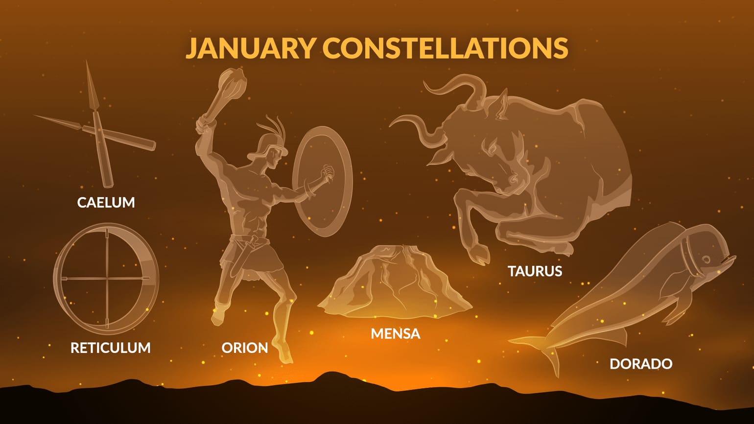 Popular Constellations In The Sky | Famous Constellations | Questions ...