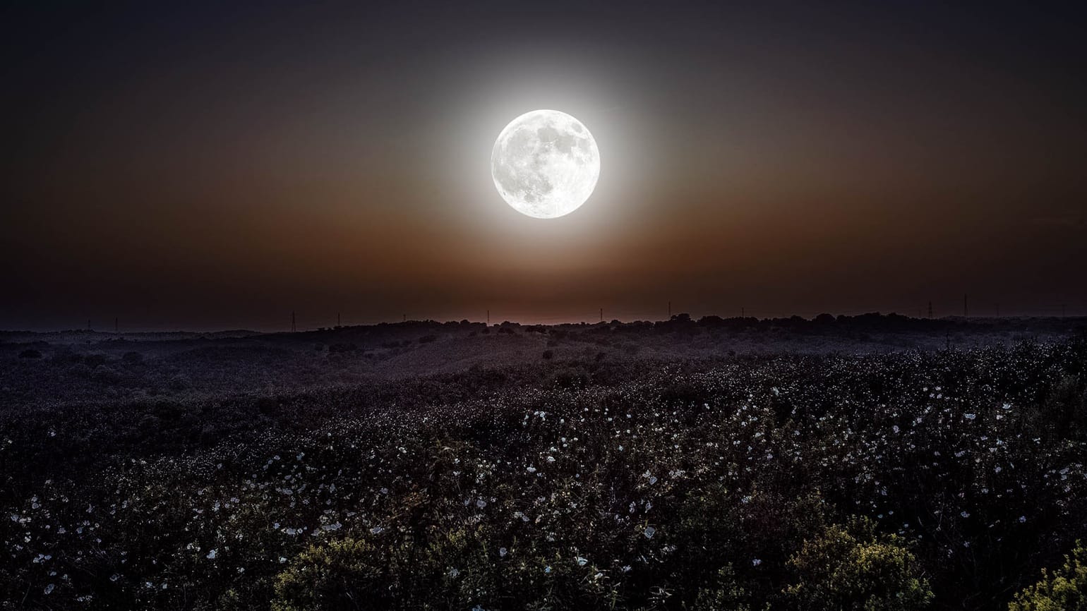 The Dazzling "Morning Star": Venus At Its Brightest | Star Walk
