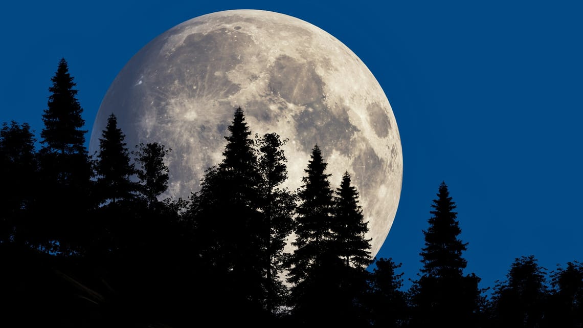 Warum ist der Mond heute so groß | Großer Mond heute | Riesenmond heute ...