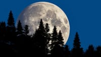 Why Is the Moon So Big | Large Moon | Big Orange Moon Tonight