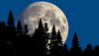 Why Is the Moon So Big | Large Moon | Big Orange Moon Tonight | Star Walk