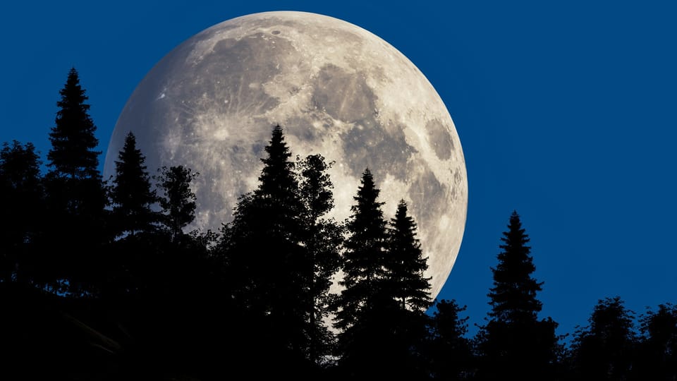 Why Is the Moon So Big | Large Moon | Big Orange Moon Tonight | Star Walk