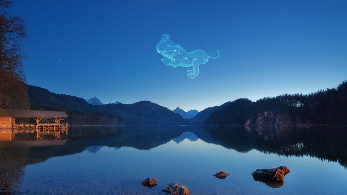 Is There A Cat Constellation | Astronomy Cats | Felis Constellation ...