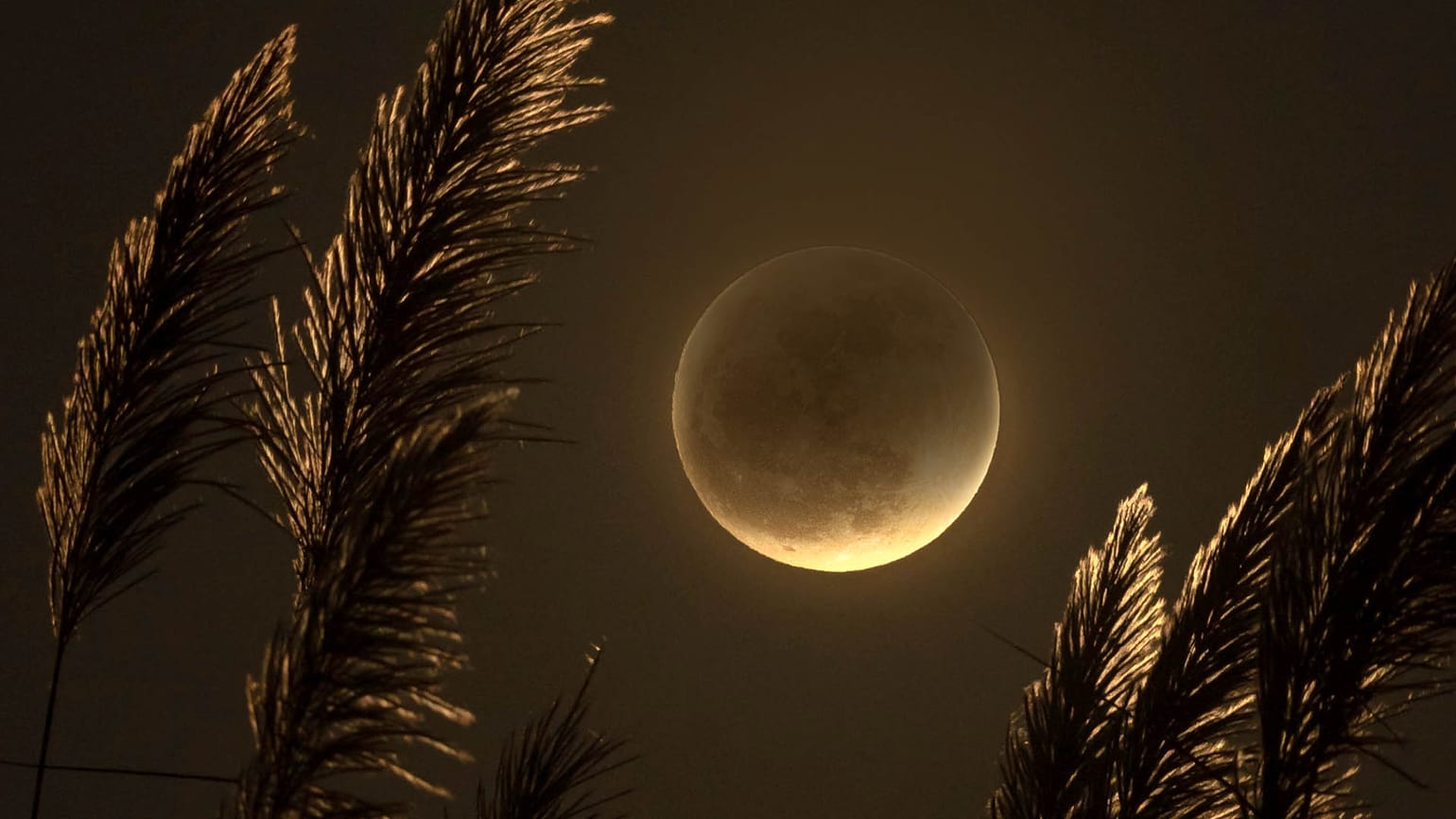 Lunar Eclipse 2023: Map | What Time Is Lunar Eclipse May 2023