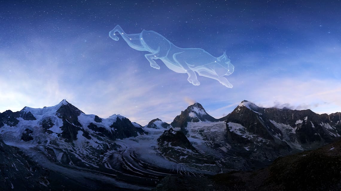 Is There A Cat Constellation | Astronomy Cats | Felis Constellation ...