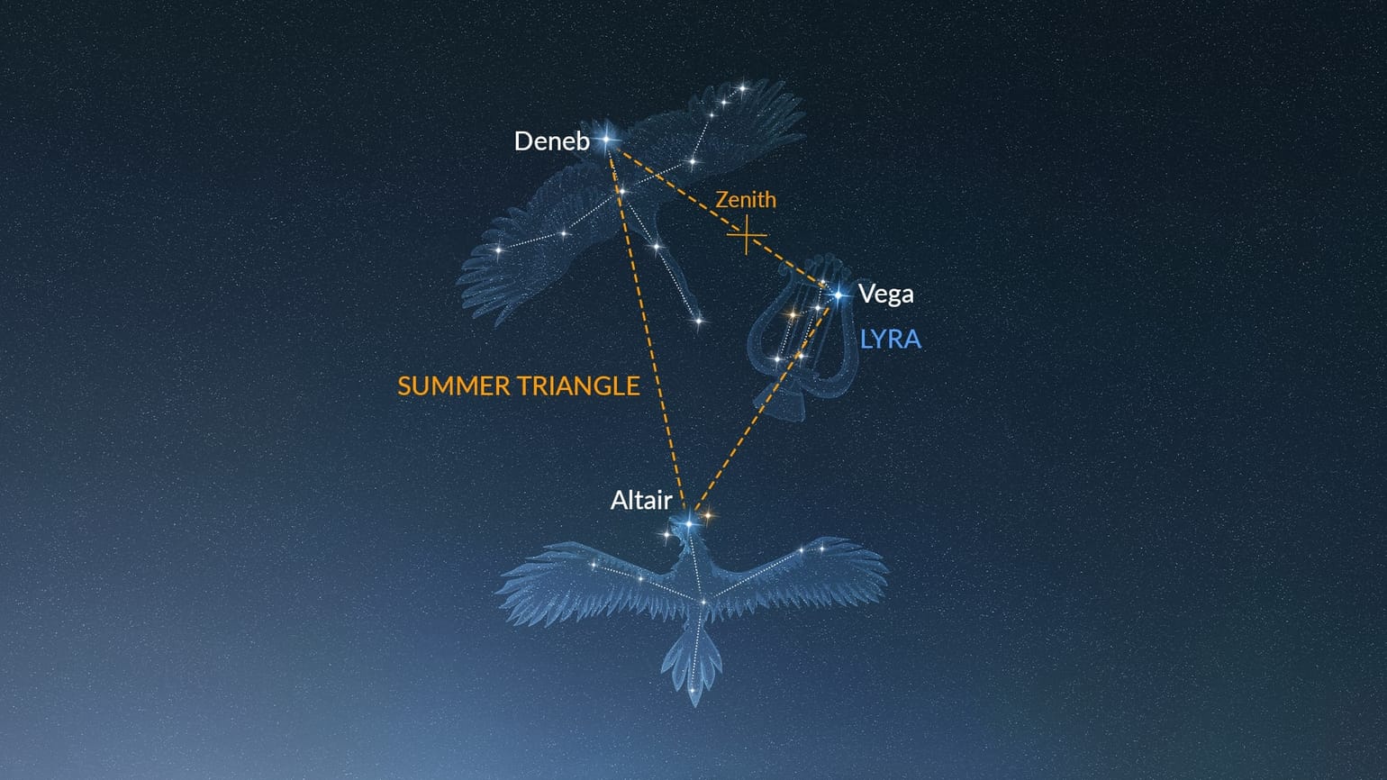 August Constellations | Constellation Finder | August Night Sky | Best ...