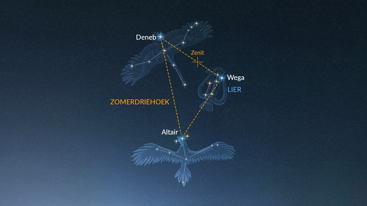 Sterrenbeelden in Augustus | Sterrenbeeld Vinden | Nachtelijke ...
