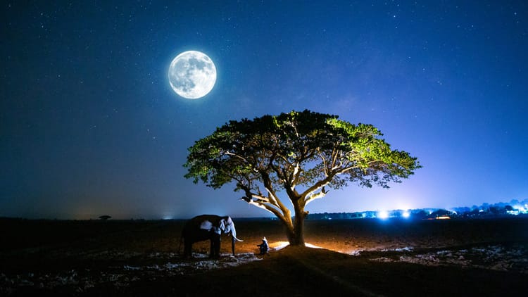 Full Moon March 2023 | Worm Moon Meaning | When Is March Full Moon ...