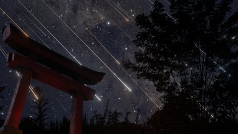 Regulus Star Facts | Little King Star | Constellation Leo Brightest ...