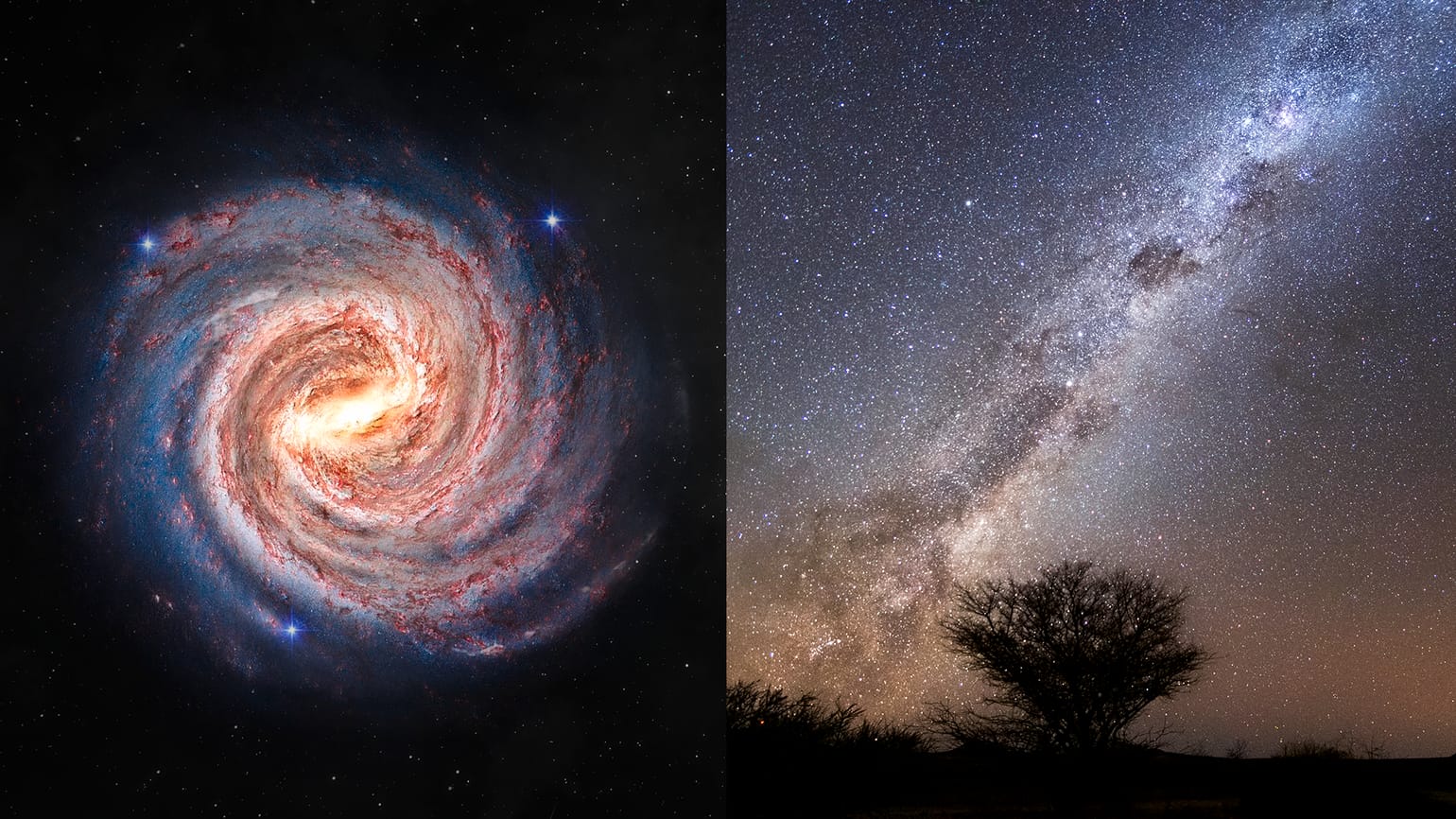 O Que É a Via Láctea | Fatos Sobre a Galáxia | Constelação Via Láctea ...