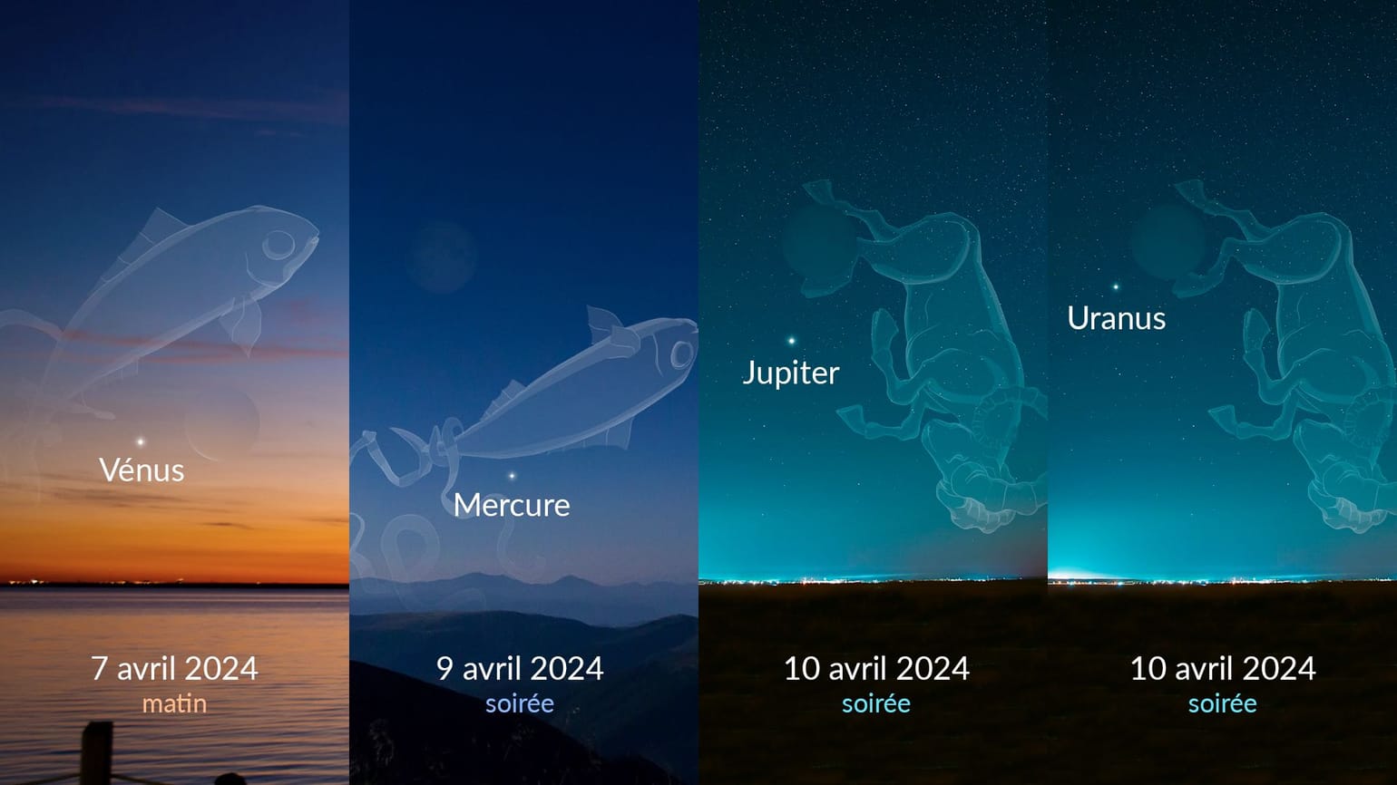 Prochaine Pleine Lune | Pleine Lune de Février 2024 | Calendrier des ...