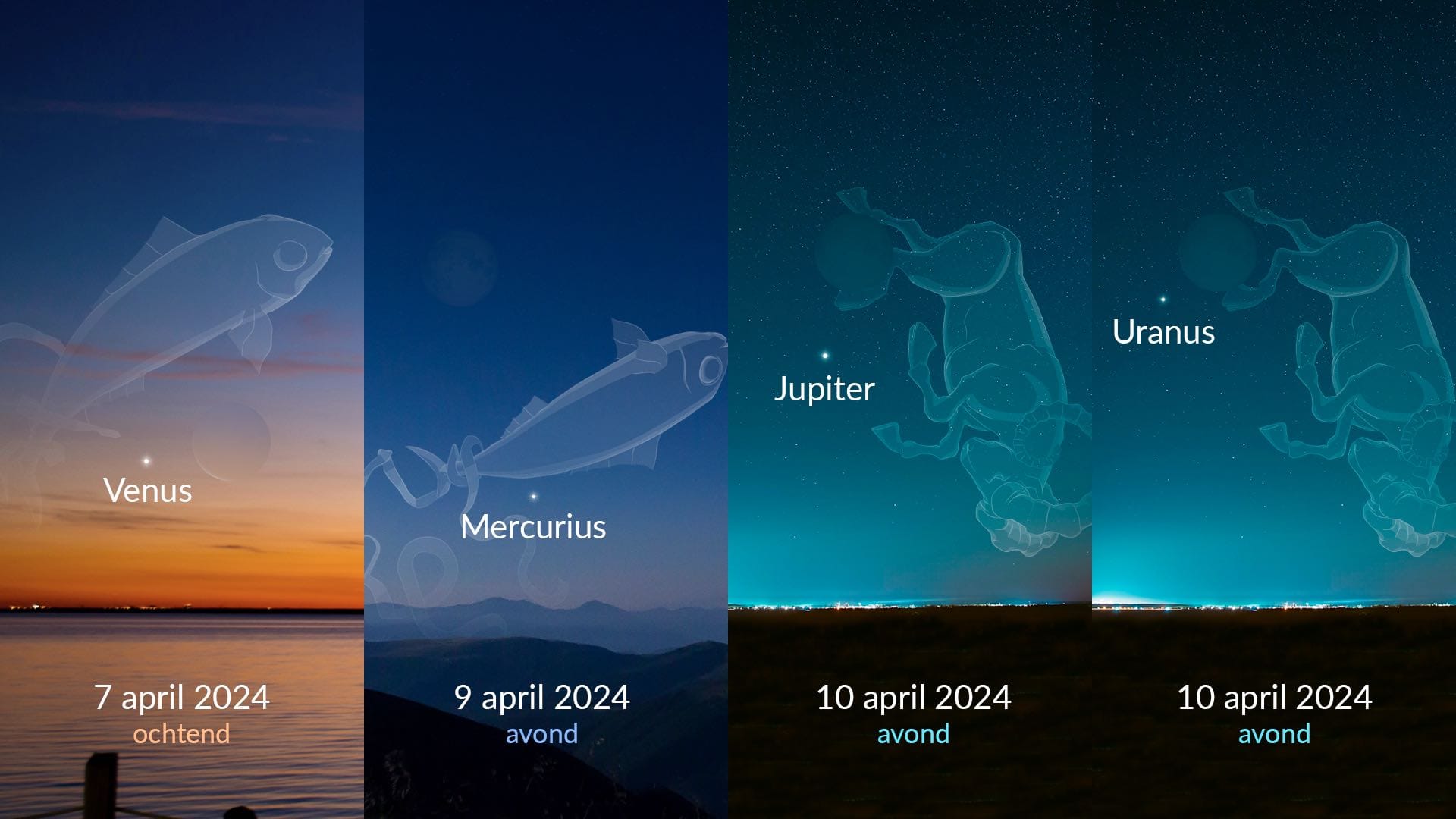 Volgende Volle Maan | Volle Maan van Februari 2024 | Volle Maan ...