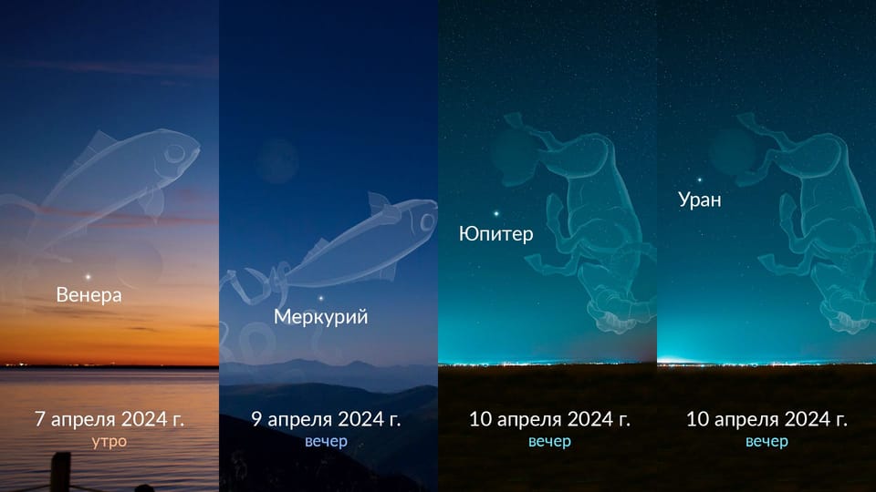 Когда полнолуние | Полнолуния 2024 | Когда полнолуние в этом месяце ...