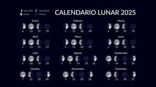Calculadora de Fase Lunar | Luna Hoy | Luna Esta Noche | Edad de la ...