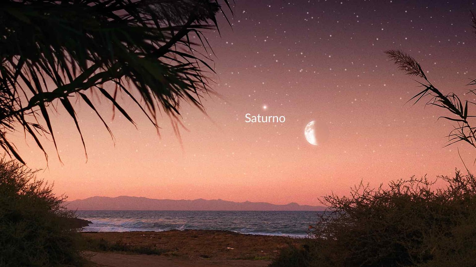 Estrela Ao Lado Da Lua Hoje 2023 - FDPLEARN