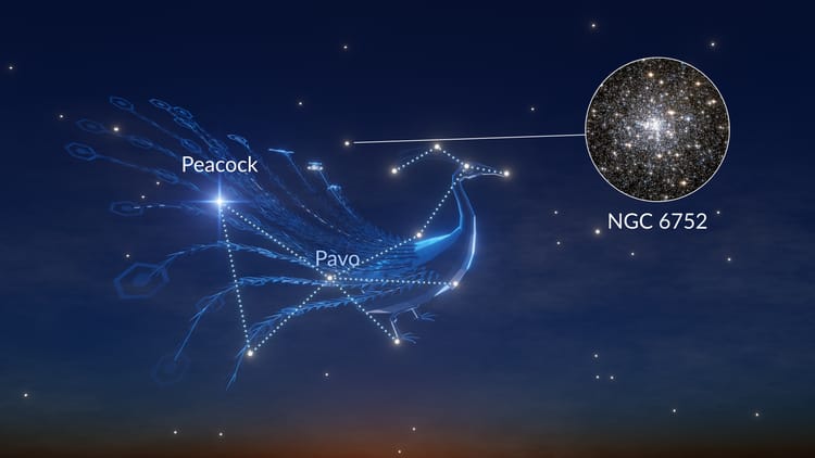 September Constellations — Starry Sky Guide | Constellation Finder ...