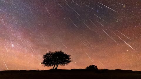 How to Watch Meteor Shower | What Does A Shooting Star Look Like