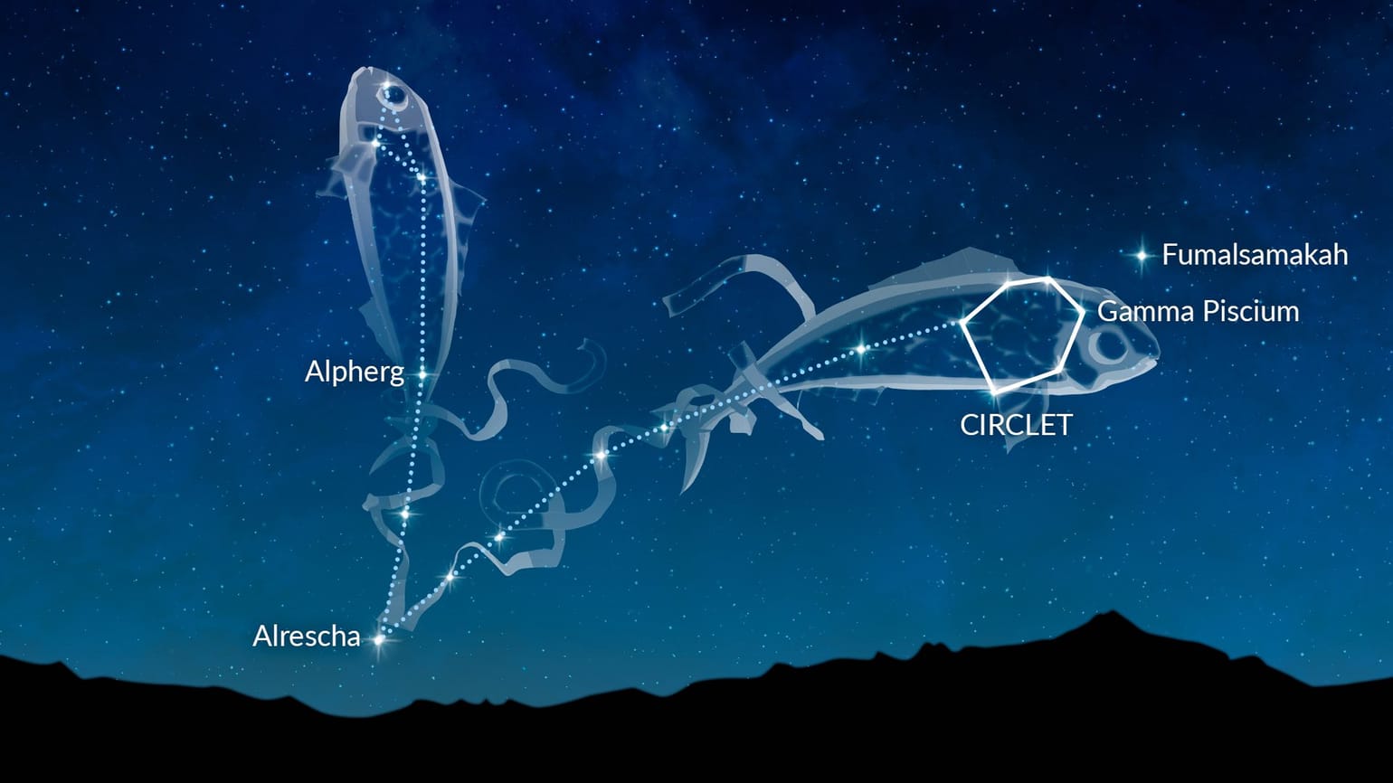 Constellations in November | November Stars | November Constellations ...