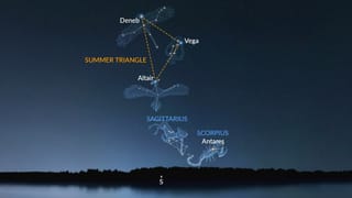 August Constellations | Constellation Finder | August Night Sky | Best ...