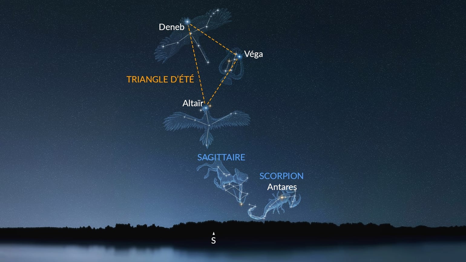 Constellations d’août | Carte des constellations | Ciel nocturne d’août ...