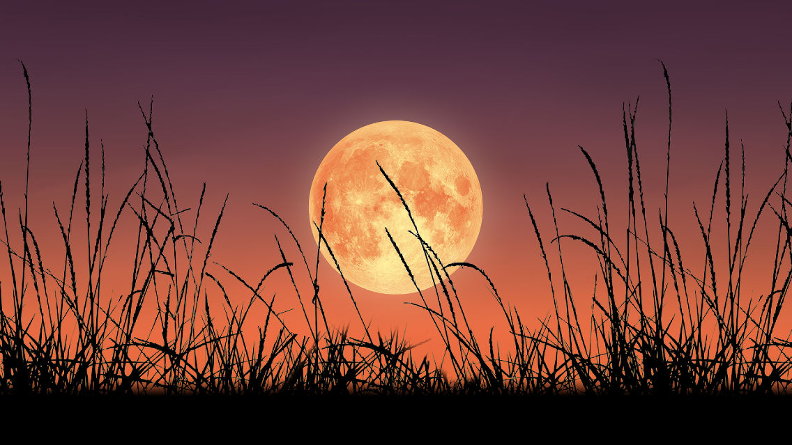 Full Harvest Moon | Star Walk
